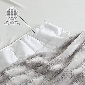 Beautyrest Duke Weighted Adult, Faux Fur, Glass Beads Filling, and Removable Cover Calming Heavy Blankets, 60x70-12lbs, Grey