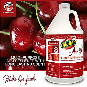 OdoBan Professional Series Ready-to-Use Air Cherry Liquid Air Freshener, 2-Pack, 1 Gallon Each, Cherry Scent