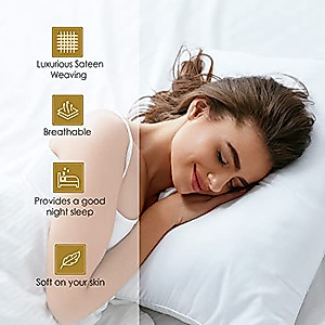 Superior Egyptian Cotton 4 Piece Sheet Set, Luxury 1500 Thread Count, Eco-Friendly, Sustainable Sheets, Ultra-Soft Basics, Solid, Deep Pocket Fitted Sheet, Flat Sheet, Pillowcases, Queen, Grey