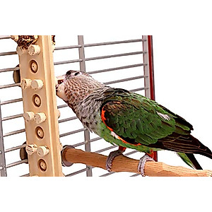 Woodberry - Medium Bolt-On Parrot Toy