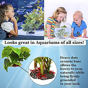 SunGrow 10" Plastic Leaf Plant, Heavy-Duty Ceramic Base, Hiding Spot for Fish, Betta, Angelfish, Gold Fish, Frog, Python, Reptiles, Amphibians