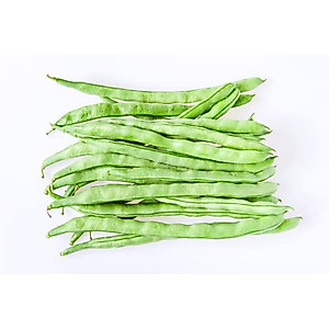 Kentucky Wonder Bush Bean Seeds for Planting, 30+ Heirloom Seeds Per Packet, (Isla's Garden Seeds), Non GMO Seeds, Botanical Name: Phaseolus vulgaris