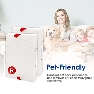 Flintar H13 True HEPA Replacement Filter R, Compatible with Honeywell Air Purifier HPA300, HPA200, HPA 100 and HPA 5000 Series, HRF-R2 (2 HEPA Filters)