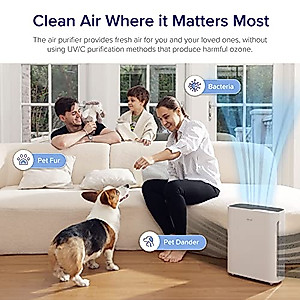 LEVOIT Air Purifier, 2 Pack, White & Air Purifiers for Home Large Room, H13 True HEPA Filter Cleaner with Washable Filter, Vital 100, White
