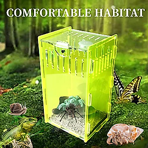 Reptile Terrarium,Vertical Acrylic Tarantula Enclosure Breeding Tank,Aquarium Breeding Tank 5" x 4" x 8"for Invertebrates and Small Tree Dwelling Reptiles,Mantis, Cricket,Snails,Frog-Fluorescent Green