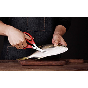 Joyce Lindberg Kitchen Seafood Scissors for Seafood Fish Crab Shrimp Lobster Shears 4 Pcs Red