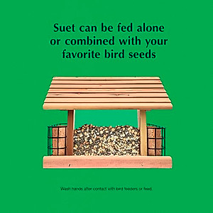 C&S Wild Bird Bluebird Suet Nuggets Mega Box, 8 Pounds