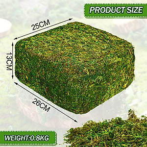 28 Oz Natural Green Sheet Moss Preserved Moss Terrarium Moss Green Moss Decor for Plant Crafts Flower Grass Floral Moss for Garden Lawn Crafts Wedding Decor Flower Filler