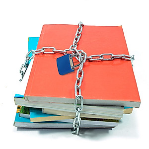 Prasacco 4pcs Suitcase Locks with Keys,Padlock with Keys ABS Plastic Covered Copper Luggage Locks Small lock for Home School Classroom Matching Game