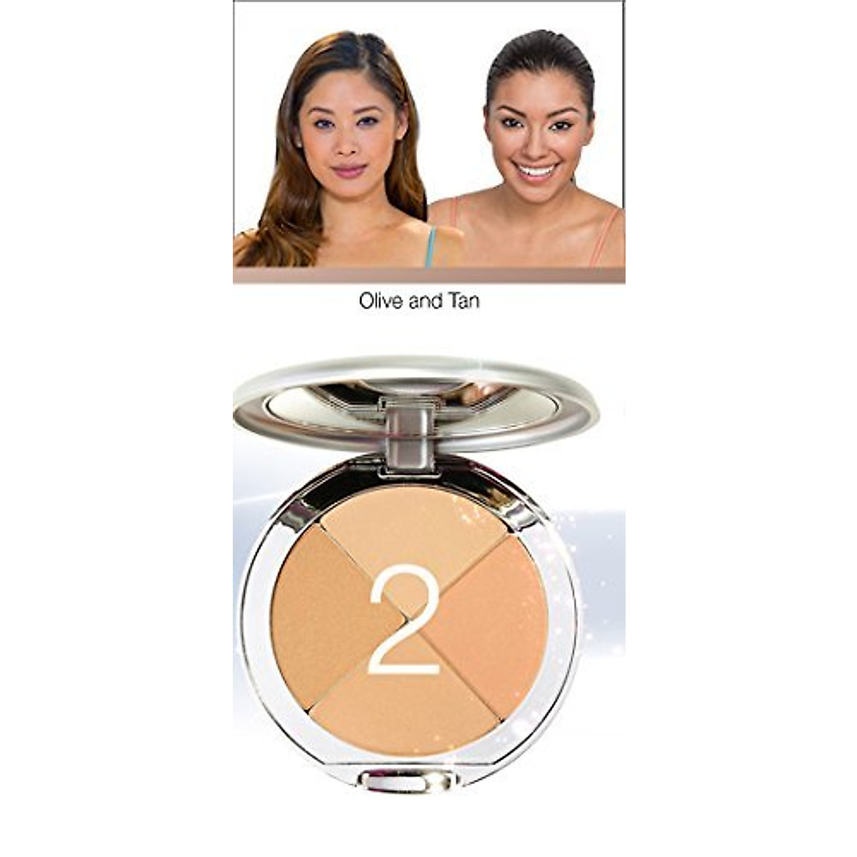 Christina Cosmetics Perfect Pigment 2 Compact and Retractable Brush Duo!