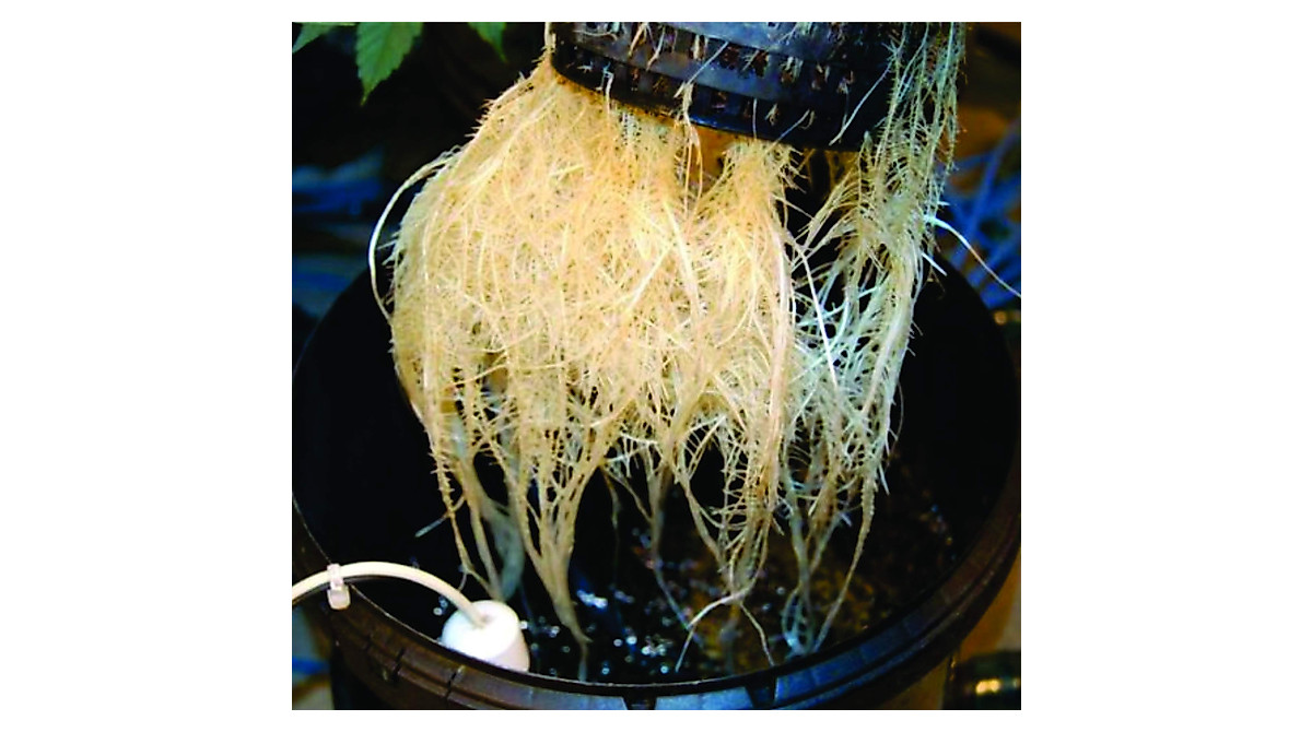 Atwater HydroPod - DWC Hydroponic Garden System Kit