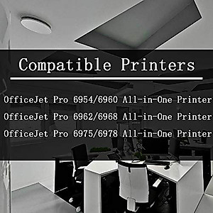 MM MUCH & MORE Compatible Ink Cartridge Replacement for HP 902 XL 902XL to Used with Officejet 6961 6979 6951 6954 6956 6958 6962 6950 Officejet Pro 6974 6968 6970 6975 6978 6960 6979 (2 x Black)