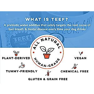 TEEF! Daily Dental Care - Natural Dog Dental Water Additive, 6 Month Supply - Award Winning Protektin42 Formula, Tartar and Plaque Remover - No Brushing, Add to Water Bowl for Healthier Gums