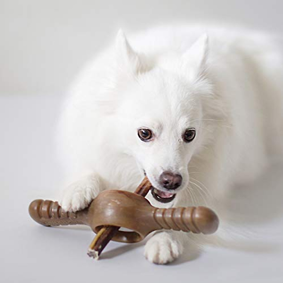 Benebone Pawplexer Interactive Treat Dispensing Tough Dog Puzzle Chew Toy, Made in USA, Small, Real Bacon Flavor