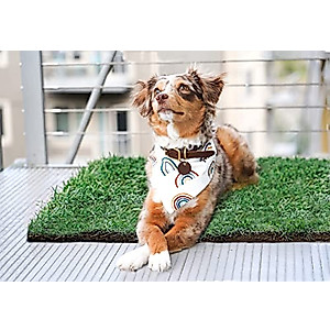 DoggieLawn Dog Potty - Real Grass - XLarge 24x48 inches