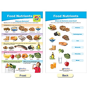 NewPath MyPlate - Food & Nutrition Bulletin Board Charts, Gr 1-4, Set/8 - Laminated, Double-Sided, Full-Color, 12" x 18" (94-1120)