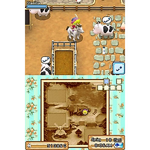 Harvest Moon: Grand Bazaar - Nintendo DS