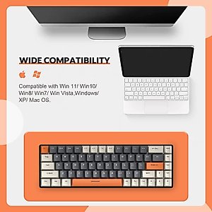 ZIYOU LANG RK-T8 Wired 65% Mechanical Gaming Keyboard with RGB LED Backlit Anti-ghosting TKL Mini 68 Key Custom Coiled C to A Cable Tactile Brown Switch for PS4 PS5 Xbox PC Mac Gamer(White/Dark Gray)