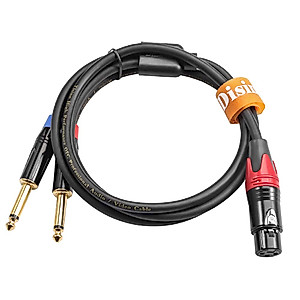 Disino XLR Female to Dual 1/4 inch Y Splitter Cable,Female XLR to Double 6.35mm Mono TS Plug Mic Audio Converter Adapter Cord - 10 feet