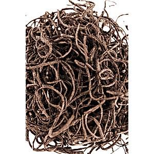 SuperMoss (26972) Spanish Moss Preserved, Coffee, 8oz (200 cubic inch)