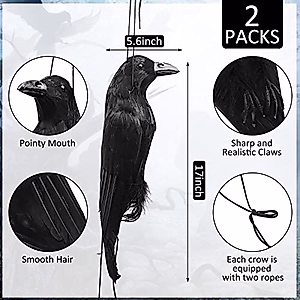 Lewtemi 2 Pcs 17 Inches Realistic Hanging Dead Crows Decoy Lifesize Black Feathered Crow Fake Black Crows for Garden Halloween Decorations