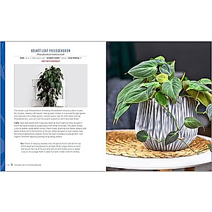 Houseplants for Beginners: A Practical Guide to Choosing, Growing, and Helping Your Plants Thrive