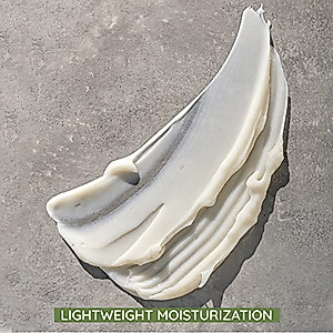 Aveeno Daily Moisturizing Fragrance-Free Prebiotic Oat Face Cream for Dry Skin, Facial Cream Clinically Proven to Moisturize Dry Skin for 24 Hours, Paraben-, Fragrance- & Dye-Free, 5 oz