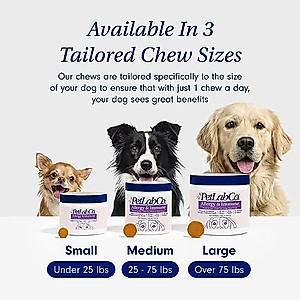 PetLab Co. Allergy & Immune – Support Your Pup with Seasonal Allergies, Intermittent Itchiness, & Healthy Yeast Production Probiotic Dog Allergy Chews. Available in Small, Medium, & Large