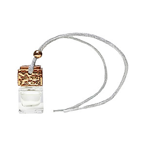 Rainier’s Gifts Car Diffuser Air Freshener (Lemongrass & Lime) - Scented Oil Diffuser, Fragrance Aromatherapy, Car Perfume & Deodorizer 0.2 fl oz/5.9ml