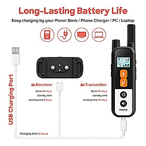 PECOLE Dog Training Collar for 2 Dogs, Shock Collar with Remote for Small Medium Large Dogs, Waterproof Rechargeable Electronic Dog Collars with Beep, Vibration and Shock Modes