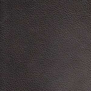 Hydeline Newport Top Grain Leather Loveseat, Gray