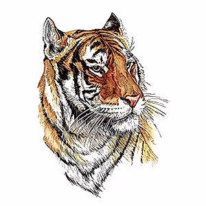 Lion Tiger Wolf Half Arm Sleeve Temporary Tattoo Sticker For Men L8.3"xW5.9"(20Sheets)