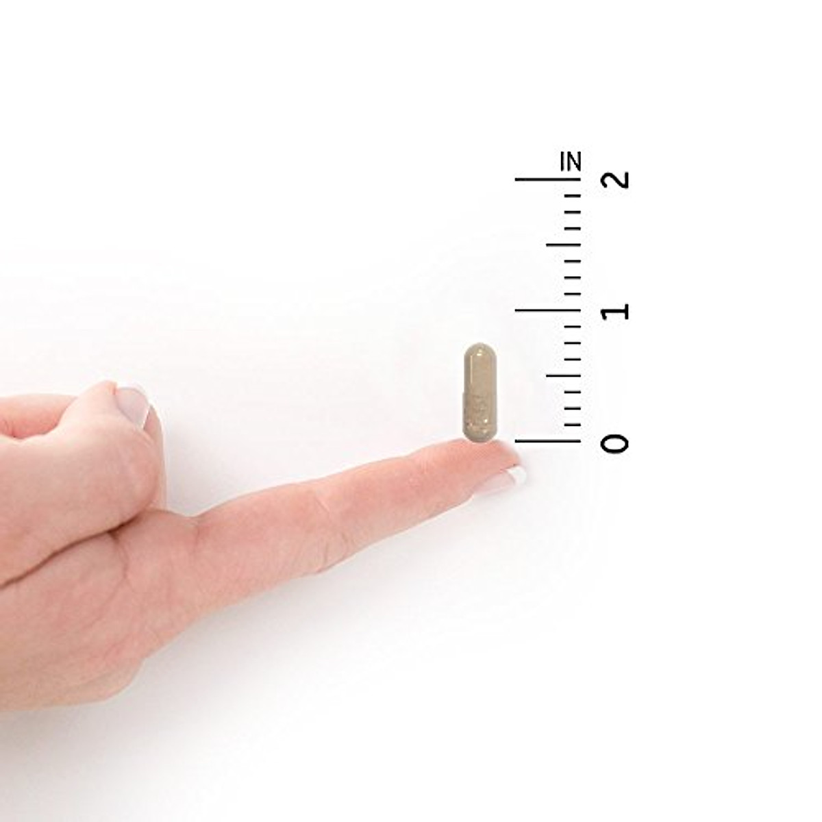 Garden of Life Multivitamin for Women, Vitamin Code Women's Multi, Whole Food, Vitamins, Iron, Folate not Folic Acid, Probiotics, Vegetarian Supplements for Womens Energy, 240 Count