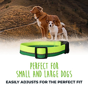Mighty Paw Reflective Dog Collar | Premium High Visibility Collar with Reflective Stitching. Weatherproof, Heavy Duty Hardware, Stylish Colors and Design. Perfect for Small and Large Pets (Green)