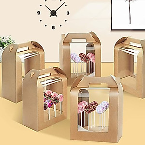 Vowcarol Portable Cake Pop Holder Boxes Cake Pop Display Stand with Cover Candy Apple Boxes with Hole Cake Pop- Packaging - 6 Packs