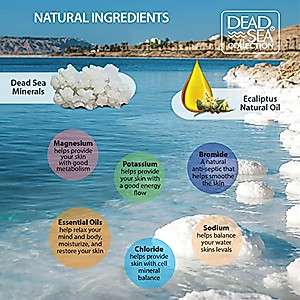 Dead Sea Collection Salt Body Scrub - Large 23.28 OZ - with Eucalyptus - Exfoliating Effect - Includes Organic Essential Oils and Natural Dead Sea Minerals