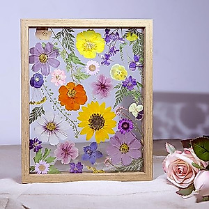 Dried Flowers for Resin, elefis 6 Packs Pressed Flowers and Leaves for Resin, Candle Making, Crafts, Nails, Scrapbooking, Epoxy Jewelry, Soap Making (Colorful A)