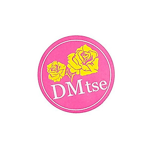 DMtse 2 X Tibetan Buddhist Om Mani Padme Hum Functioning Mini Handheld Prayer Wheel with Mantra Scroll