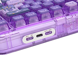 Heayzoki BT Mechanical Keyboard, Wireless RGB Gaming Keyboard, Hot Swappable Triple Modes 2.4G Wired BT Transparent Case Keyboard with 2 Layers Keycaps for Office School