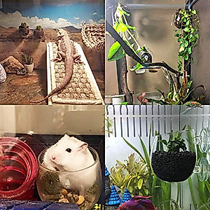 IAFVKAI 2pcs Aquarium Plant Cup Aquarium Decoration Aquatic Plant Pot with Suction Cups for Fish Tank Plant and 3-Tube Fish Shrimp Feeder Glass Breeding Tube