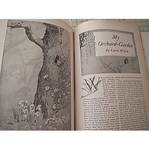 The Outlook: How Air Travel Began:Glenn Curtiss & Early Aviation - Theodore Roosevelt in England - My Orchard Garden - Psychology and Daily Life - Five Ways to Fairyland (Poem) - Milwaukee,A Socialst City - A Violin Village
