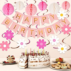 meowtastic Pink Birthday Decorations - Pink Happy Birthday Banner with Honeycomb Ball, Daisy Flower Hanging Swirl Streamer, Circle Dot Garland Decoration - Birthday Party Decoration for Women Girls