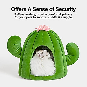 VETRESKA Cute Cactus Cat and Dog Bed, Cats Cave Dog House, Comfy Pet Bed with Machine Washable Nest Cushion for Cats, Dogs, Puppy, Kitty, Kitten, Rabbit, Green Cactus