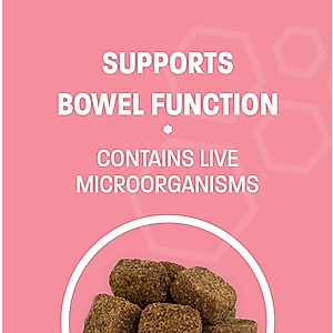 Pet Health Pros Advanced Probiotics for Dogs - Probiotic Soft Chew for Upset Stomach, Diarrhea & Constipation Relief - Promotes Happy Gut, Happy Dog - 60 ct