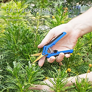 VIVOSUN 6-Pack 6.5 Inch Gardening Scissors Hand Pruner Pruning Shear with Titanium Coated Curved Precision Blades