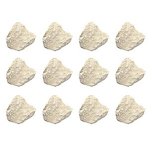EISCO 12PK Raw Limestone Chalk, Sedimentary Rock Specimens - Approx. 1" - Geologist Selected & Hand Processed - Great for Science Classrooms - Class Pack Labs