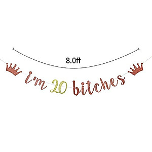 I'm 20 Bitches Banner, 20th Birthday Party Decor, Funny Twenty Years Old Birthday Banner, Girl's 20th Birthday Party Decorations (Rose Gold)