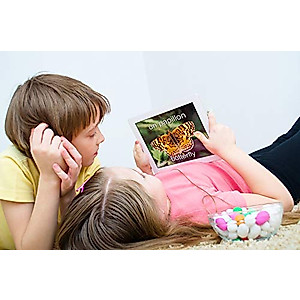 Dragonfly Language Video Flashcards: German Volumes 1 & 2