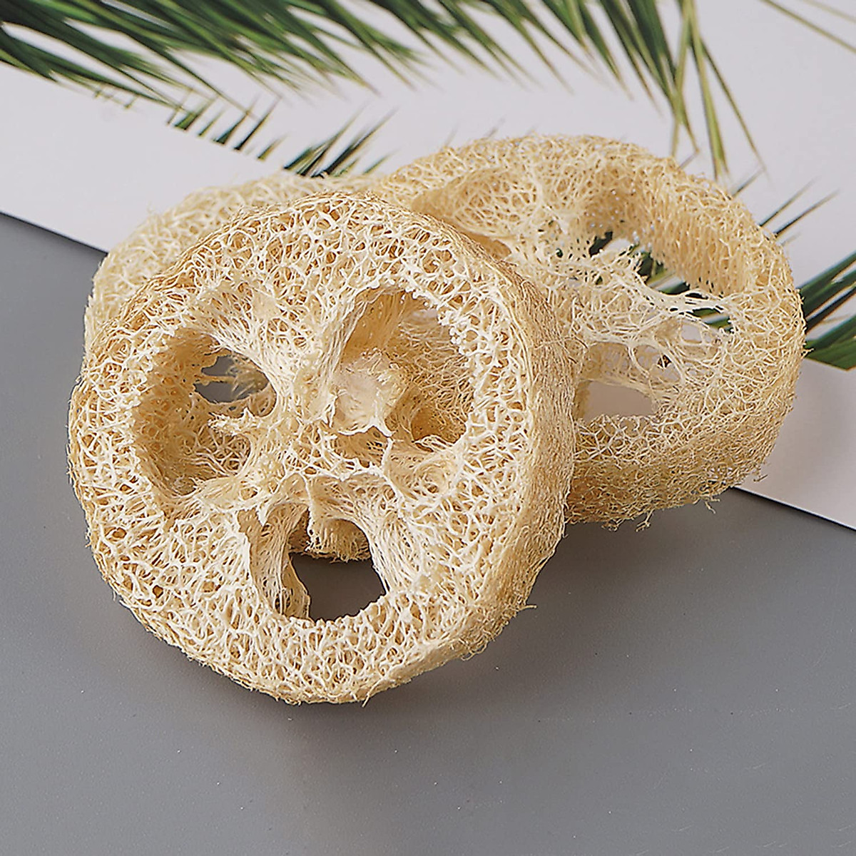 FRTIM Natural Loofah Slices for Soap Making, 20 Pieces Organic Luffa Cuts for DIY Exfoliating Soaps, Homemade Handmade Loofa Soap Supplies