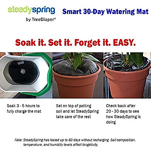 SteadySpring by TreeDiaper Smart 30-Day Watering Mat for Tomato Plants, Peppers, Veggies, Perennials, Annuals - Self-Fills with Rain (1)